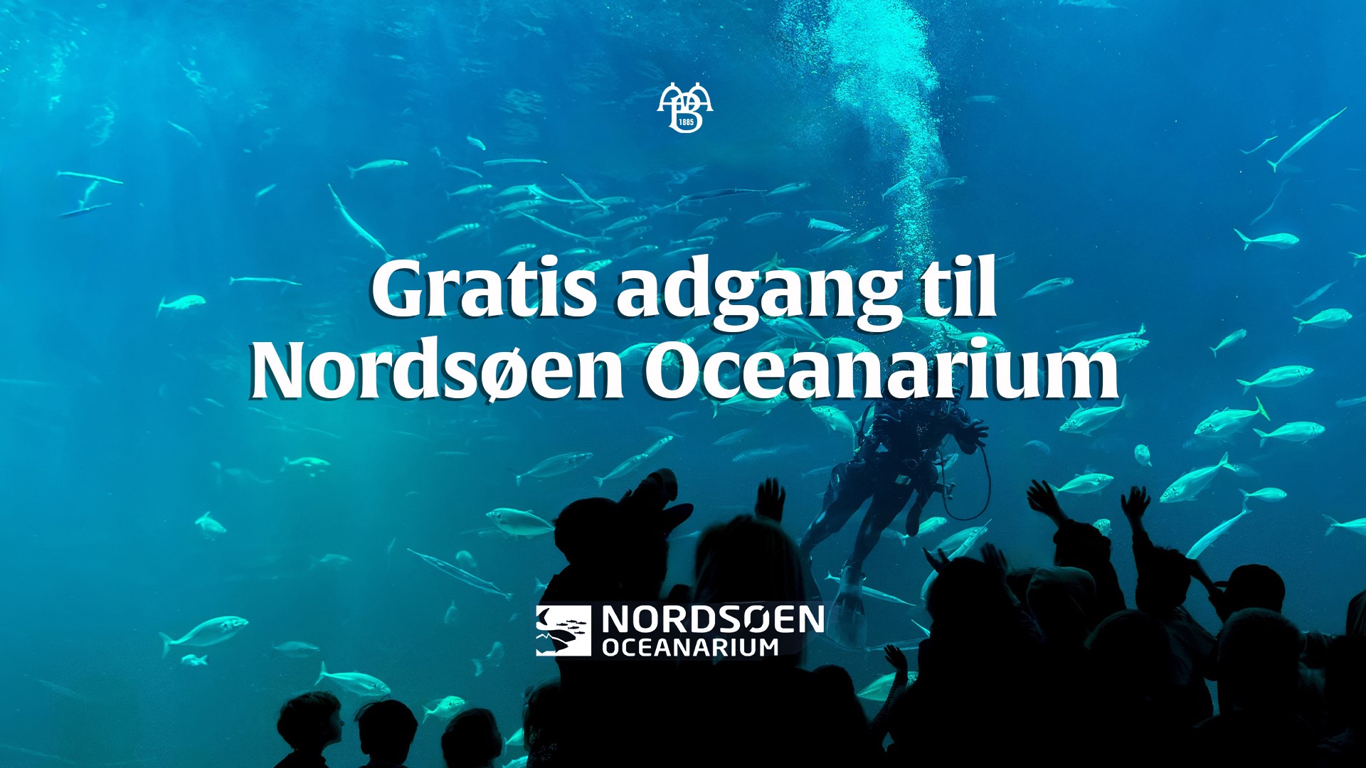 Sæsonkortholdere har gratis adgang til Nordsøen Oceanarium
